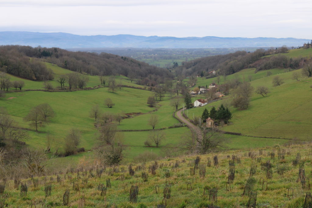 France : L'histoire de trois entrepreneurs en milieu rural - Fondation ...