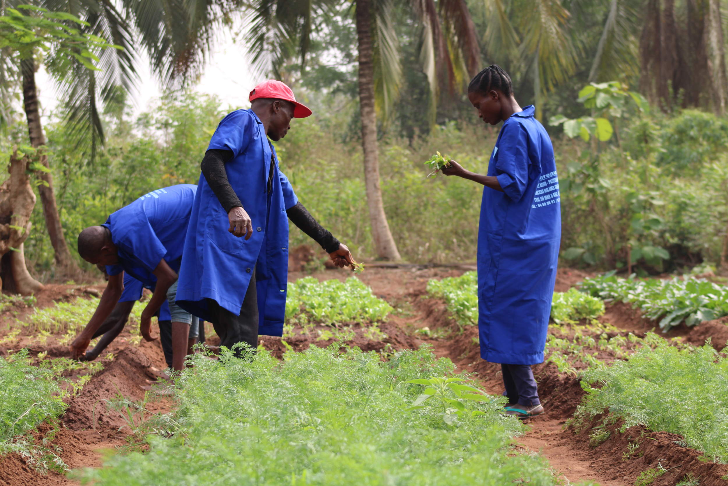 Une formation agro-pastorale au service des anciens malades